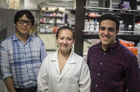 Investigators [IMAGE] | EurekAlert! Science News Releases