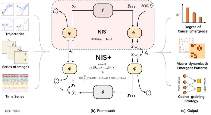 The architecture of Neural Inf [IMAGE] | EurekAlert! Science News Releases