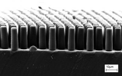 Measuring the Footprint of Cel [IMAGE] | EurekAlert! Science News Releases