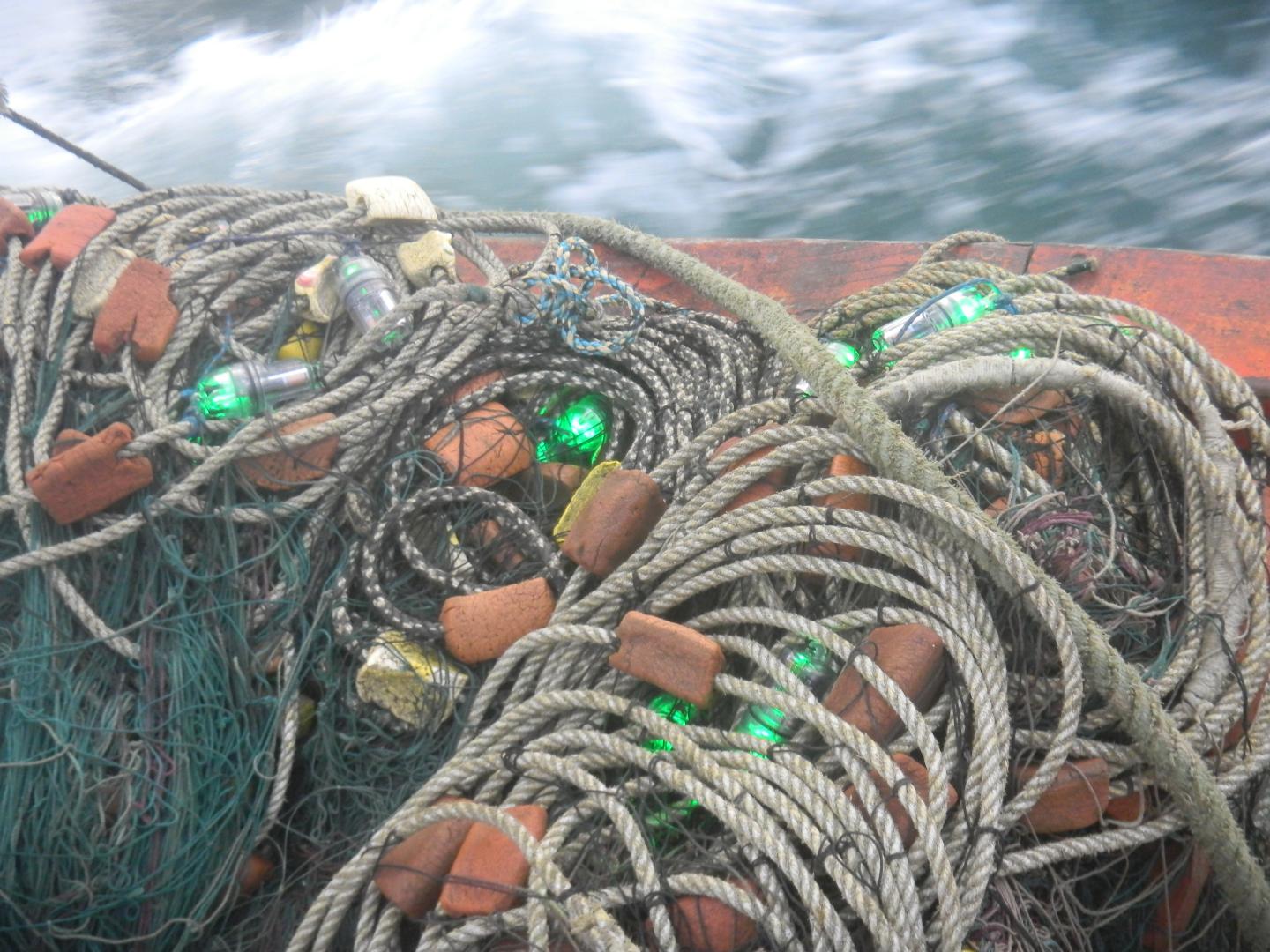 Fishing Net with LED Lights [IMAGE] | EurekAlert! Science News Releases