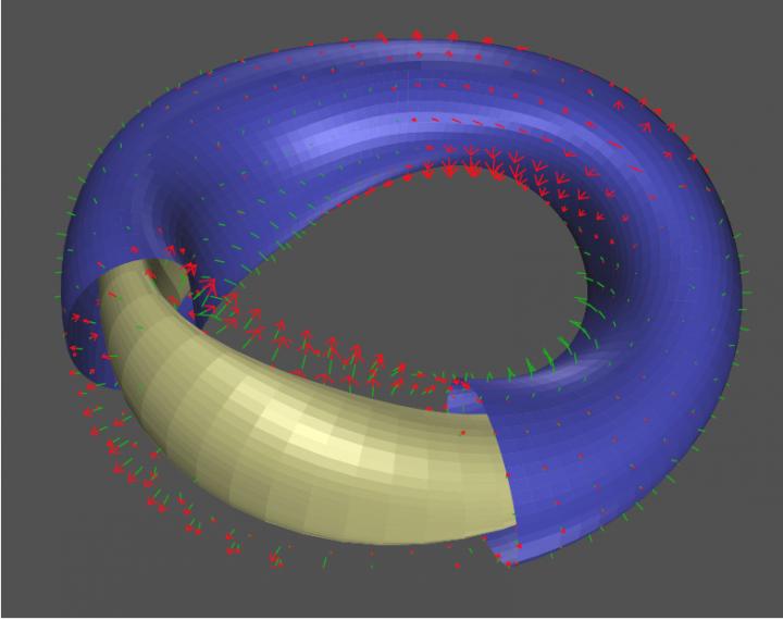 Stellarator Schematic [IMAGE] | EurekAlert! Science News Releases
