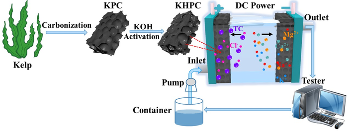 Capacitive deionization helps to remove tetra | EurekAlert!