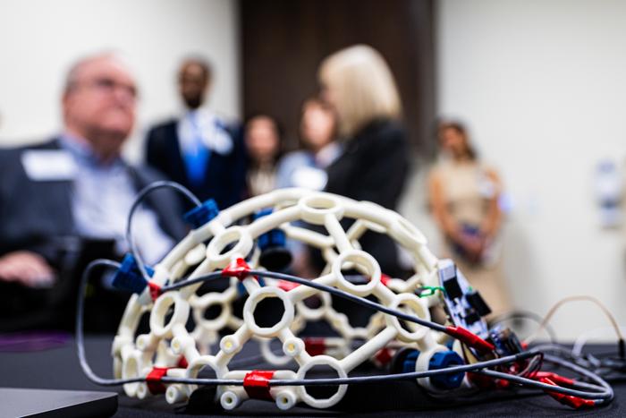 CNSR demo [IMAGE] | EurekAlert! Science News Releases