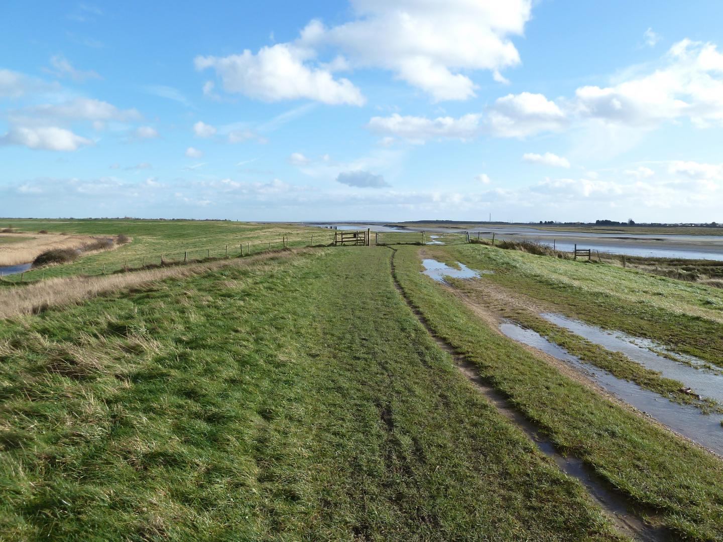 Hadleigh Marsh Landfill [IMAGE] | EurekAlert! Science News Releases