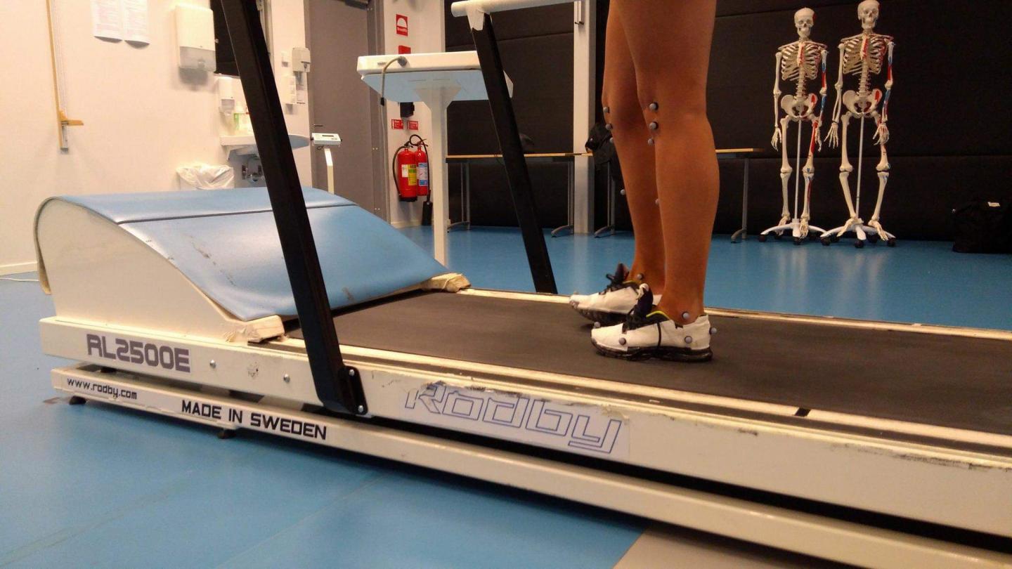 Running Analysis Sub-Study [IMAGE] | EurekAlert! Science News Releases