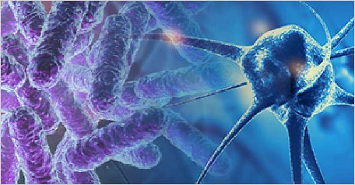 Microbiome [IMAGE] | EurekAlert! Science News Releases