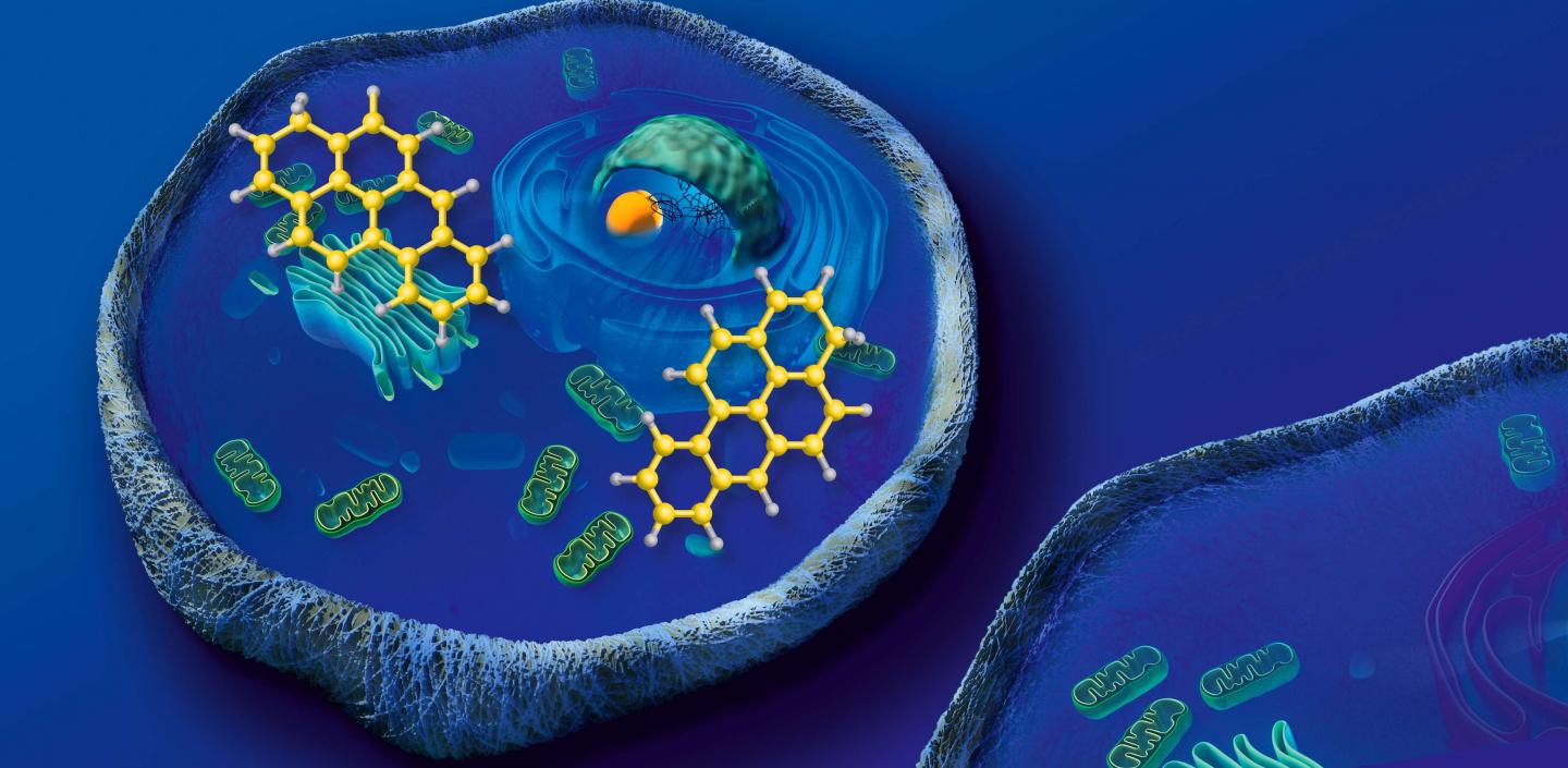 Benzopyrene [IMAGE] | EurekAlert! Science News Releases