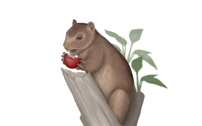 The largest and earliest known [IMAGE] | EurekAlert! Science News Releases