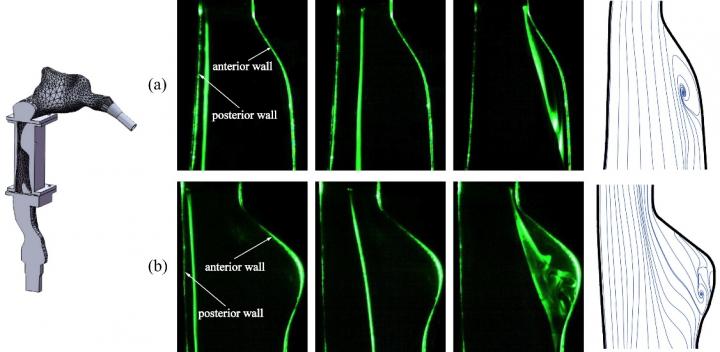 Figure 1: [IMAGE] | EurekAlert! Science News Releases