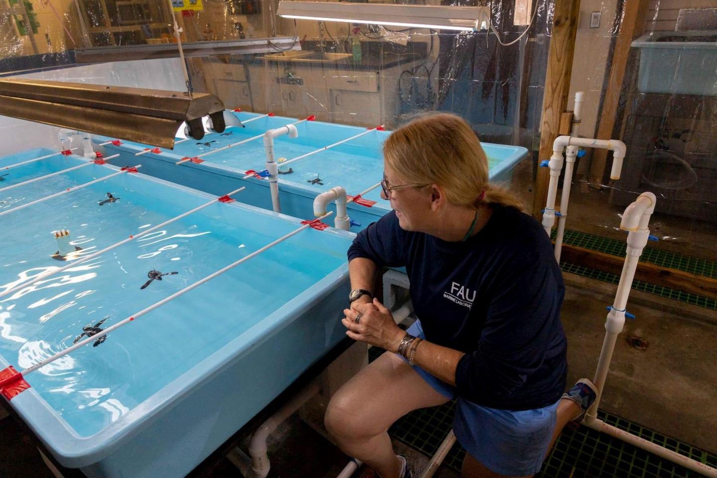 FAU Marine Laboratory [IMAGE] | EurekAlert! Science News Releases