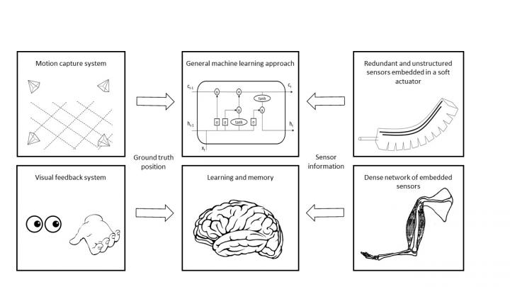 Human and Robotic Perception [IMAGE] | EurekAlert! Science News Releases