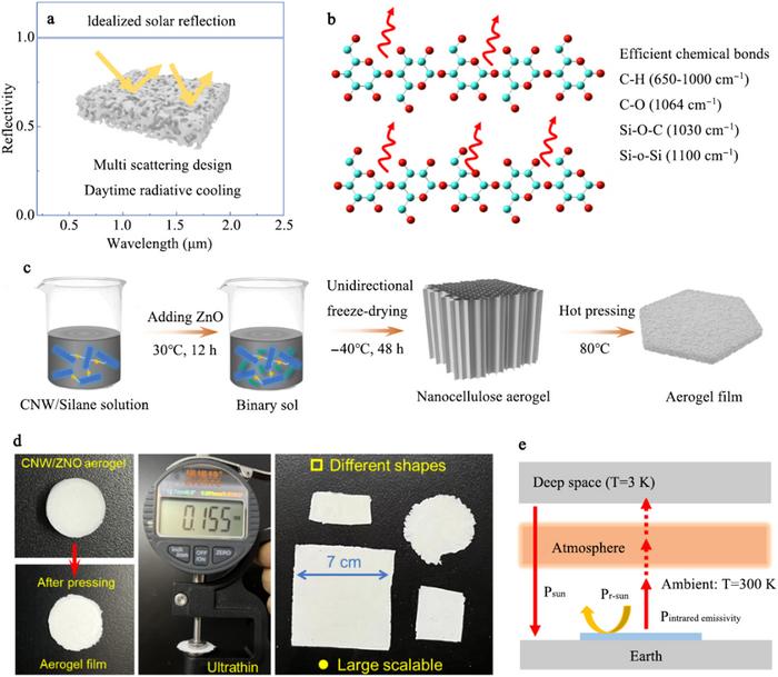 Revolutionary cellulose aerogel film offers s | EurekAlert!