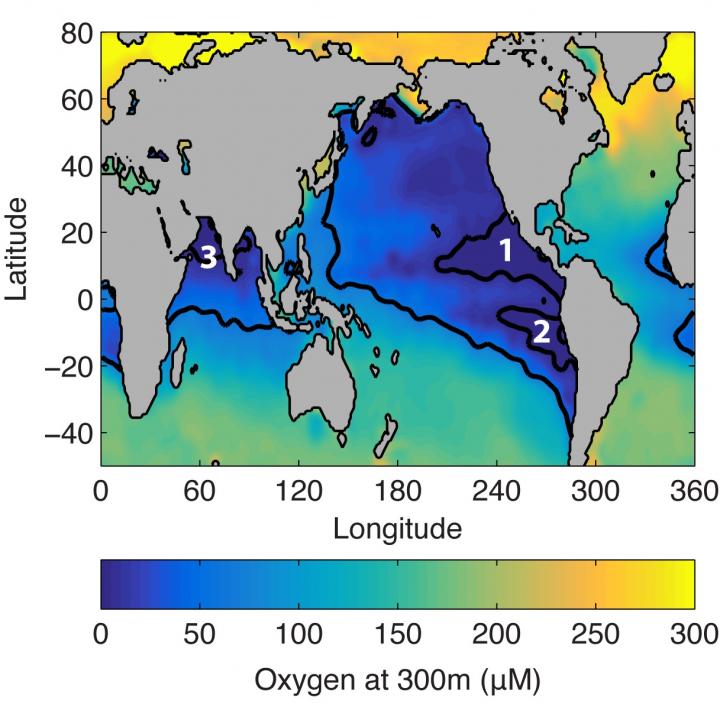 Map of Three Anoxic 'Dead zone [IMAGE] | EurekAlert! Science News Releases
