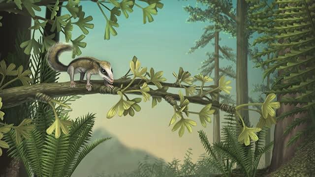 Earliest-known arboreal and subterranean ance | EurekAlert!