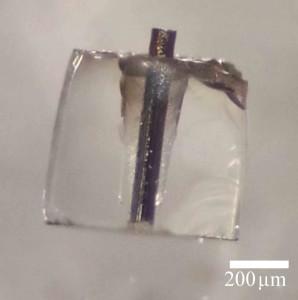 Producing solar power with impure silicon | EurekAlert!