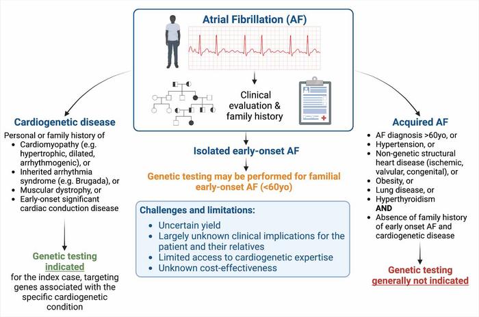 Genetic testing of patients with atrial fibri | EurekAlert!