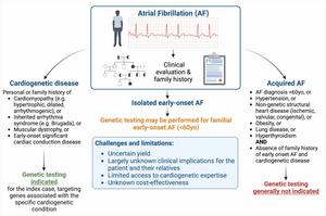 Genetic testing of patients with atrial fibri | EurekAlert!