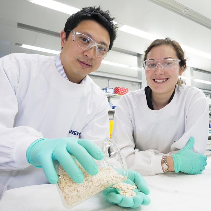 Dr. Jason Tye-Din and Dr. Meli [IMAGE] | EurekAlert! Science News Releases