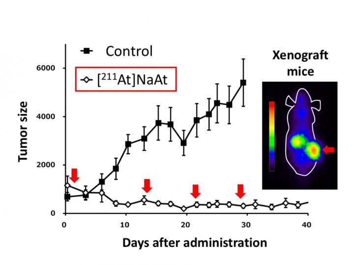 Breakthrough alpha-ray treatment of cancer wi | EurekAlert!