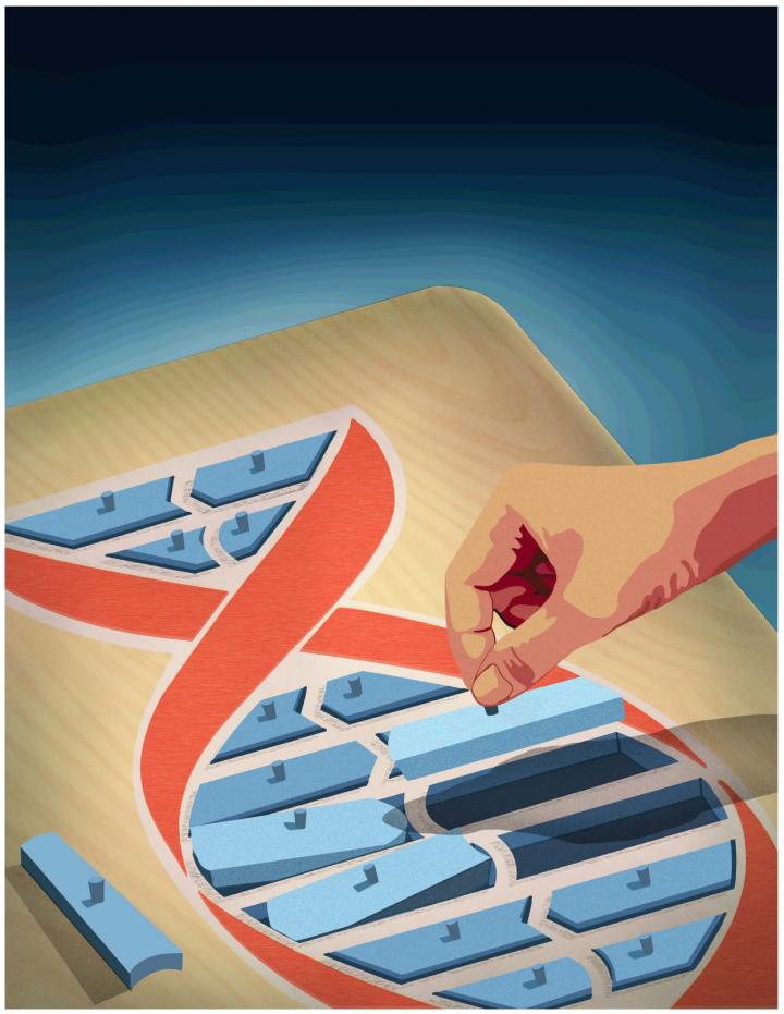 DNA Mismatches [IMAGE] | EurekAlert! Science News Releases