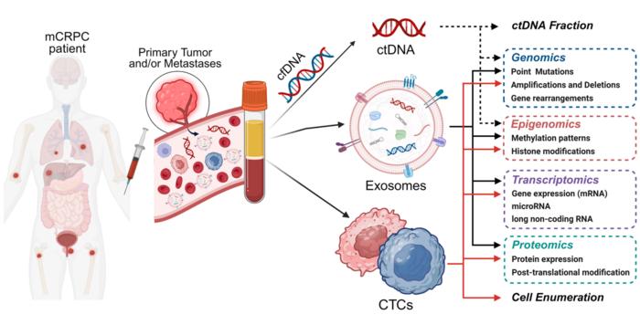 Evolving insights in blood-based liquid biops | EurekAlert!