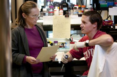 Judith Frydman, Nicholai Dougl [IMAGE] | EurekAlert! Science News Releases