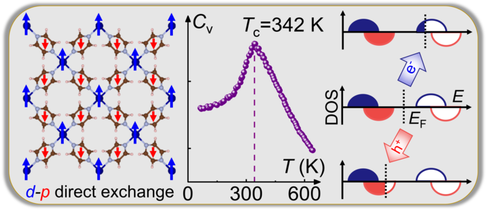 Two-dimensional bipolar magnet [IMAGE] | EurekAlert! Science News Releases