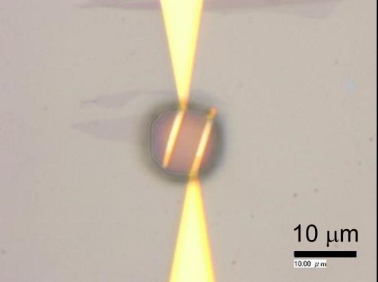 Lab-On-A-Graphene-FET Device [IMAGE] | EurekAlert! Science News Releases