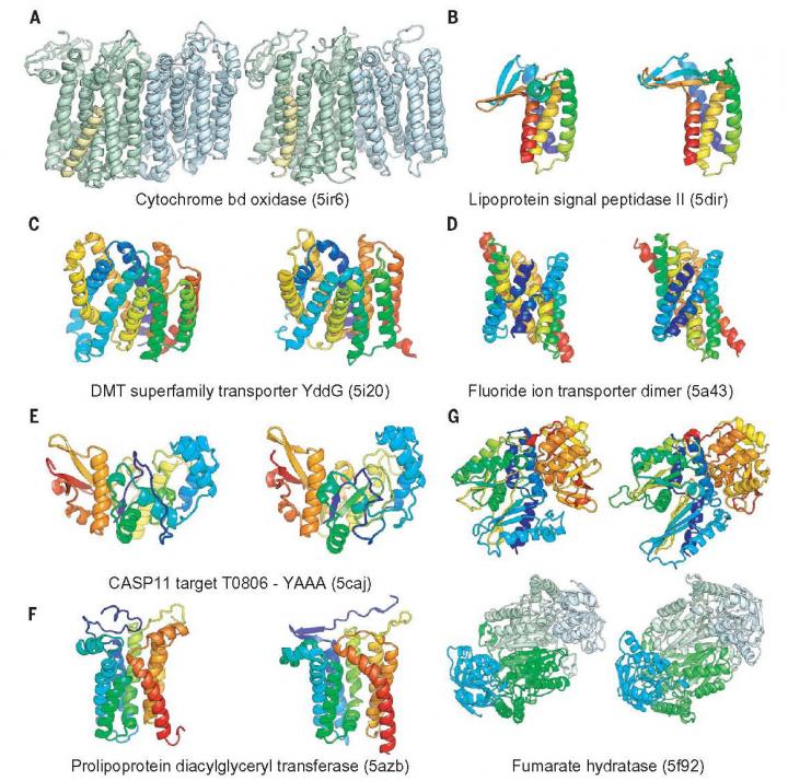 Revealed: 12 Percent of Unknown Protein Famil | EurekAlert!