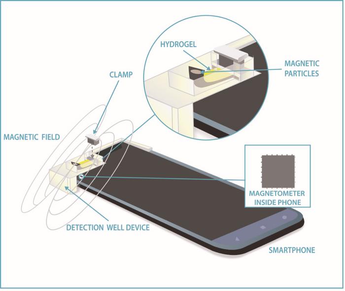 Smartphone magnetometer [IMAGE] | EurekAlert! Science News Releases