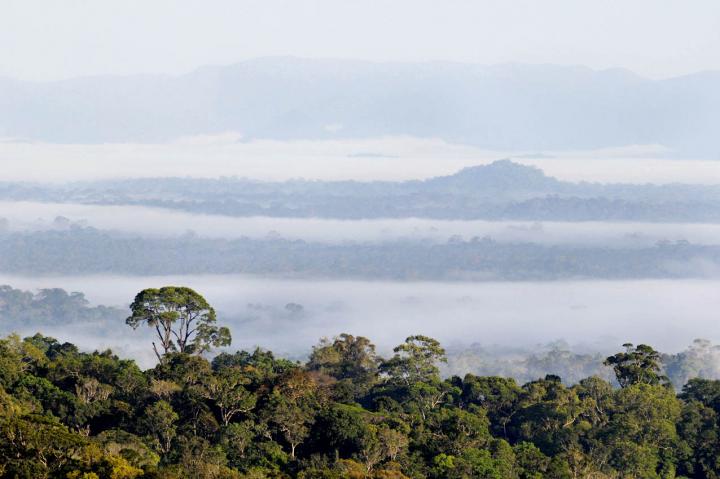 Paleoclimate Patterns Underpin Origin (and Ex | EurekAlert!