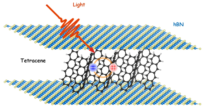 Fabrication of single-layer tetracene molecul | EurekAlert!