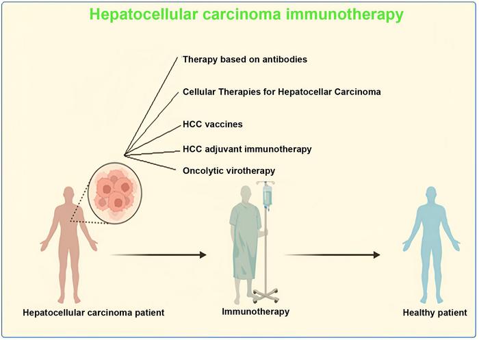 Treatment options for hepatocellular carcinom | EurekAlert!