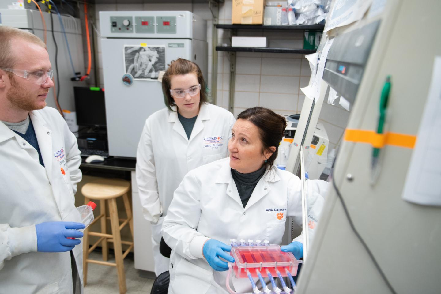 Studying Cells [IMAGE] | EurekAlert! Science News Releases