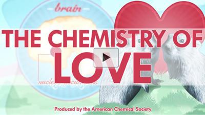 The chemistry of love: Valentine's Day scienc | EurekAlert!