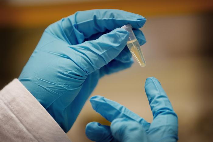 Sugar analysis [IMAGE] | EurekAlert! Science News Releases