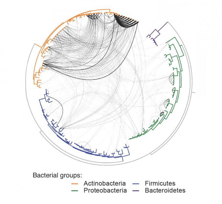 Horizontal Gene Transfer Graph [IMAGE] | EurekAlert! Science News Releases