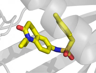 Quinabactin [IMAGE] | EurekAlert! Science News Releases