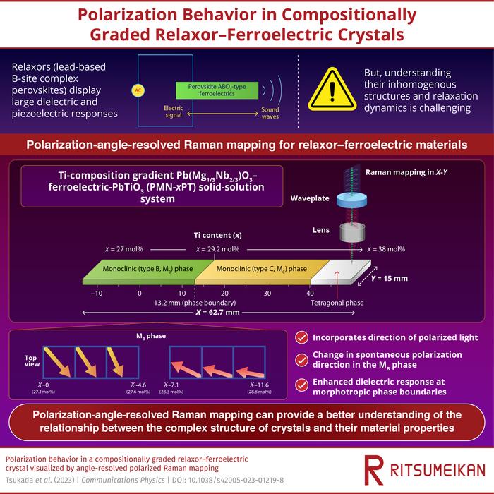 Understanding the polarization [IMAGE] | EurekAlert! Science News Releases