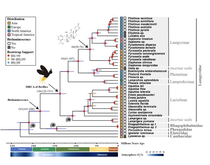 Zhu et al fig 1 [IMAGE] | EurekAlert! Science News Releases