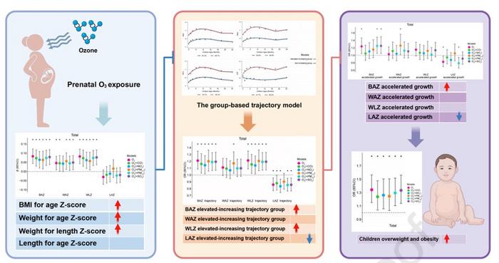Graphic abstract. [IMAGE] | EurekAlert! Science News Releases