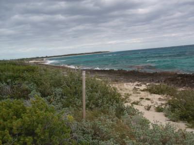 Coastal Buffer Zones and Priva [IMAGE] | EurekAlert! Science News Releases