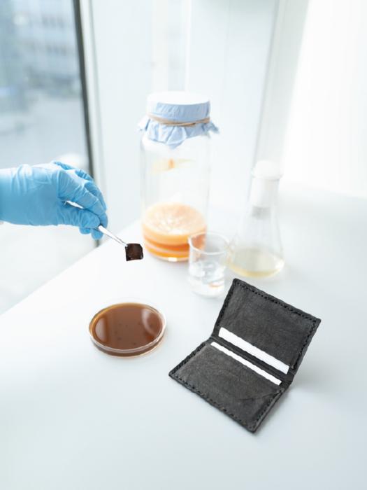 Wallet [IMAGE] | EurekAlert! Science News Releases