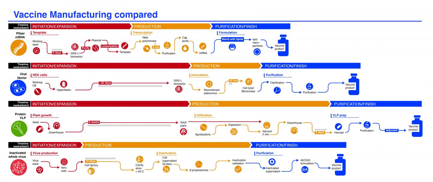 Vaccine Manufacturing Compared [IMAGE] | EurekAlert! Science News Releases
