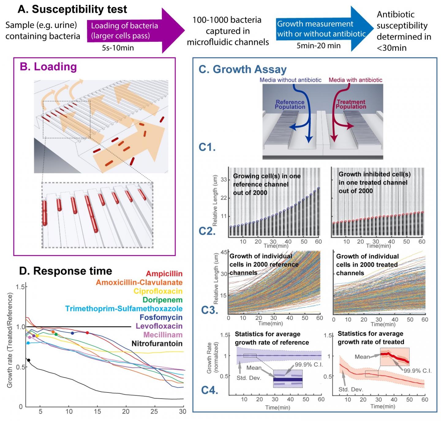 Suseptibility Test [IMAGE] | EurekAlert! Science News Releases