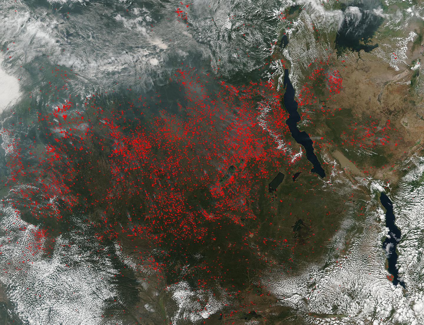 Hundreds of Fires Take Over Central Africa | EurekAlert!