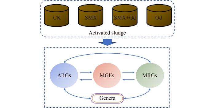 graphical abstract [IMAGE] | EurekAlert! Science News Releases