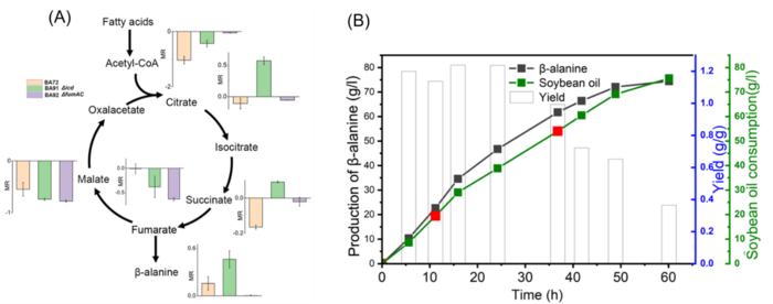 Figure2 [IMAGE] | EurekAlert! Science News Releases