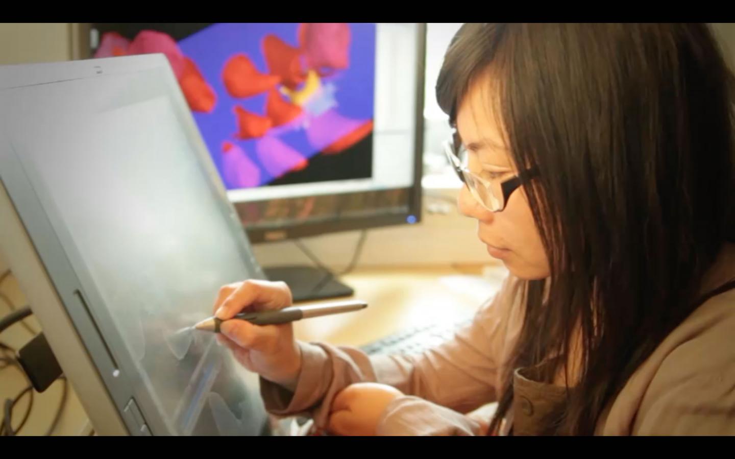 'Dissecting' Scan Data on the [IMAGE] | EurekAlert! Science News Releases