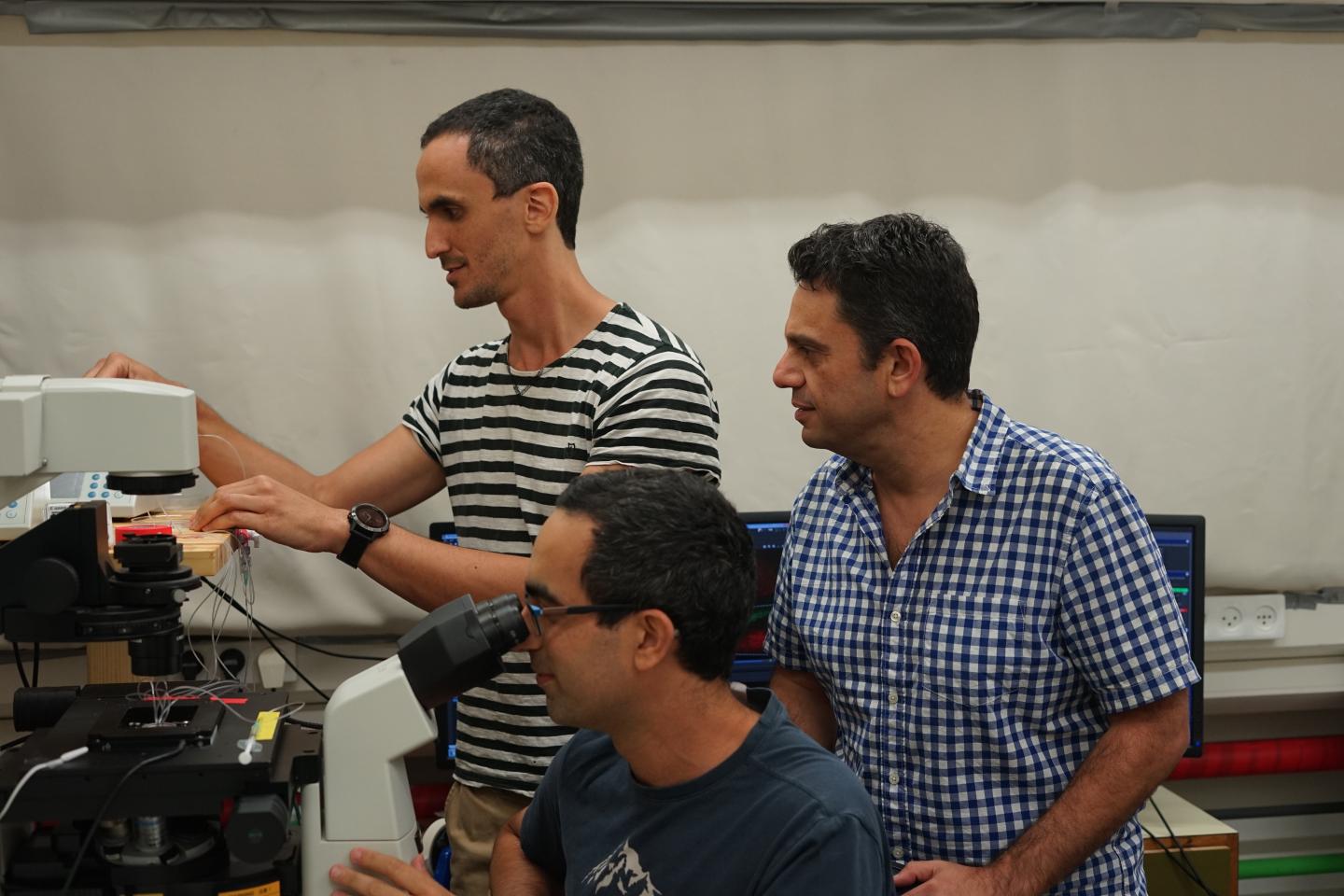 The Hebrew University Research [IMAGE] | EurekAlert! Science News Releases